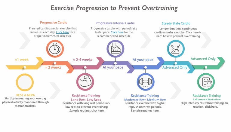 Excercise Timeline | PDF