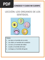5 Sentidos | PDF | Gusto | Sentidos