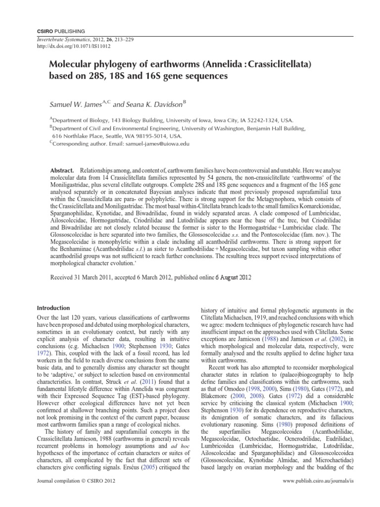 Jurnal Annelida | PDF | Phylogenetic Tree | Molecular Phylogenetics