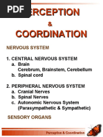 Ninja Nerd Science & Medicine | PDF | Circulatory System | Vein