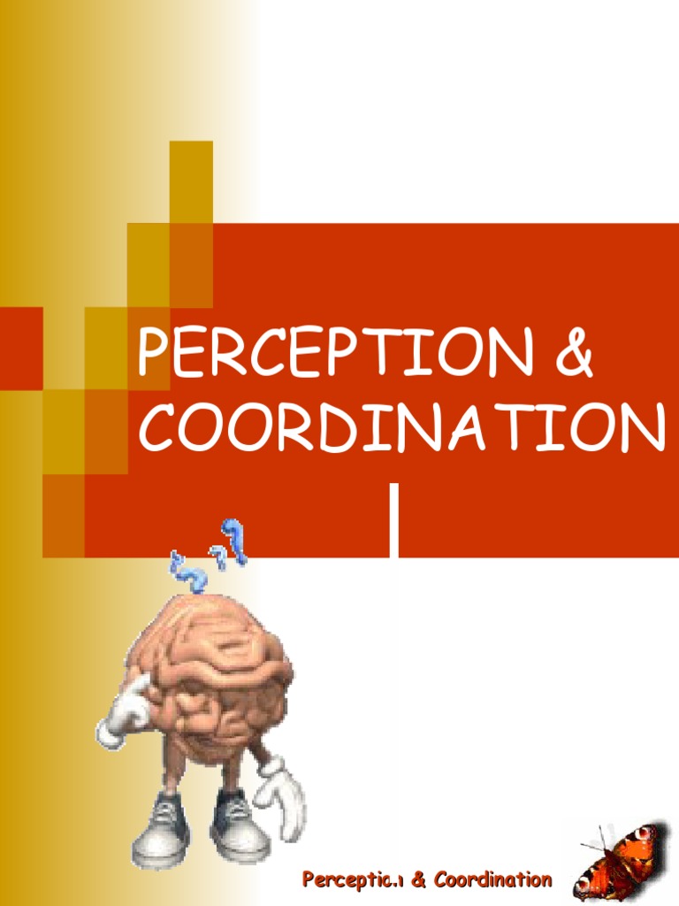 Perception Nursing Process | PDF | Perception | Somatosensory System