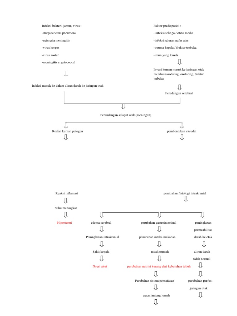 Pathway Meningitis | PDF