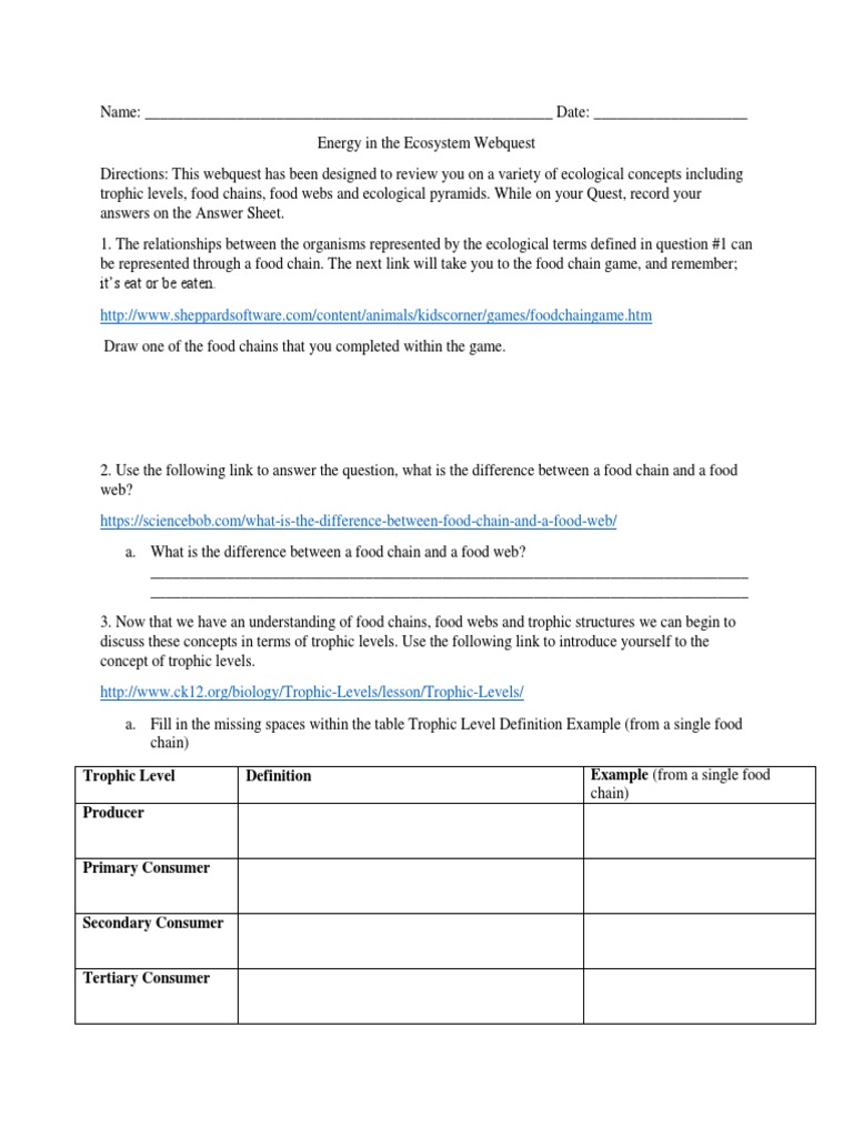 Ecology-Energy in The Ecosystem | PDF | Food Web | Systems Biology