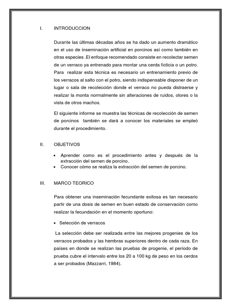 Recoleccion de Semen Porcino en Vivo | PDF | Semen | Reproducción