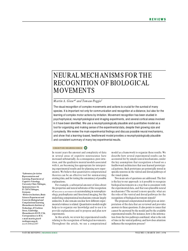 Biological Motion | PDF | Visual Cortex | Visual System
