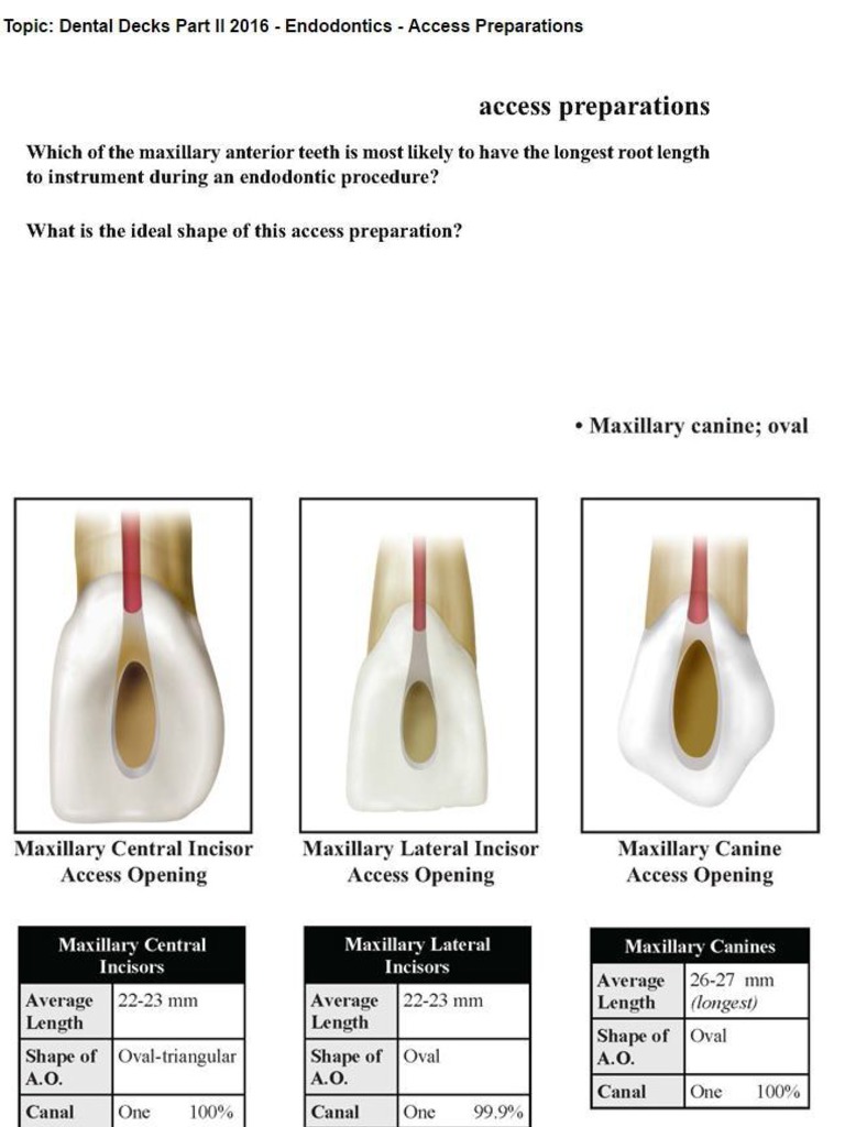 Access Prep Jpg2pdf | PDF