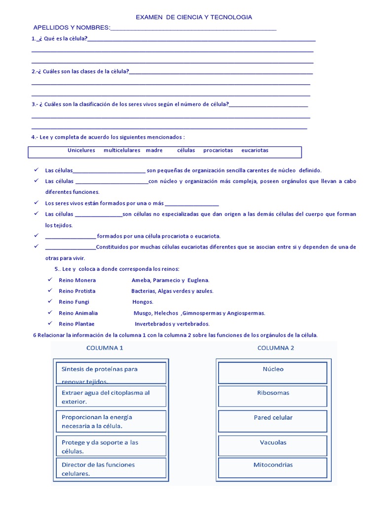 Examen de Ciencia y Tecnología 6° grado | PDF
