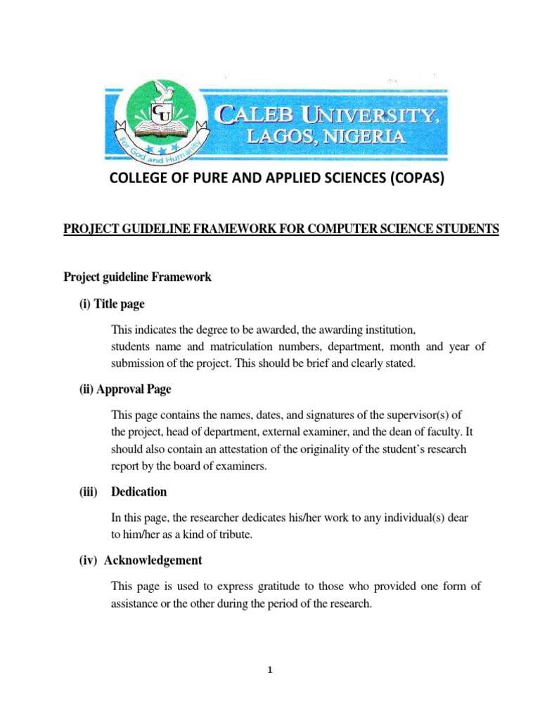 Final Year Project Guideline PDF | PDF | Literature Review | Evaluation
