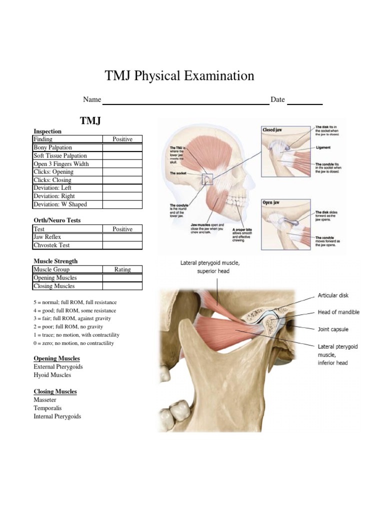 TMJ Physical Exam | PDF | Dance Science | Human Head And Neck