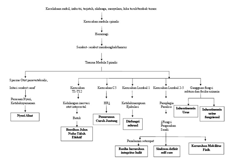 Pathway Trauma Medulla Spinalis | PDF