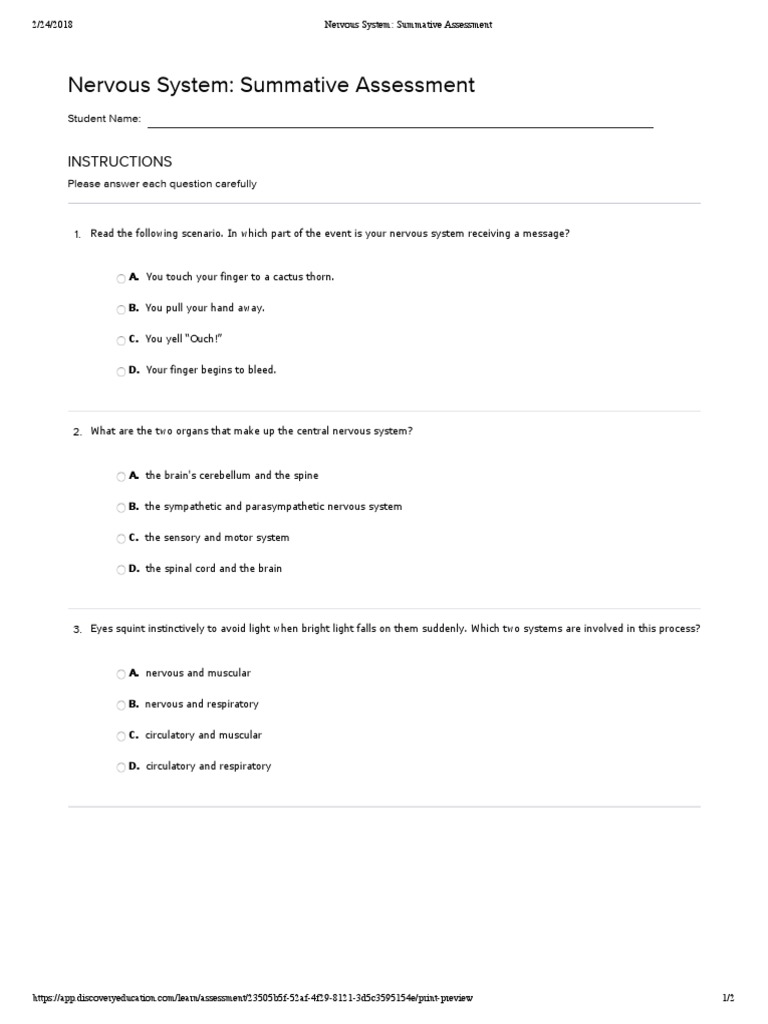 Nervous System - Checkpoint | PDF | Nervous System | Central Nervous System