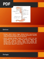 Anatomi Gaster | PDF