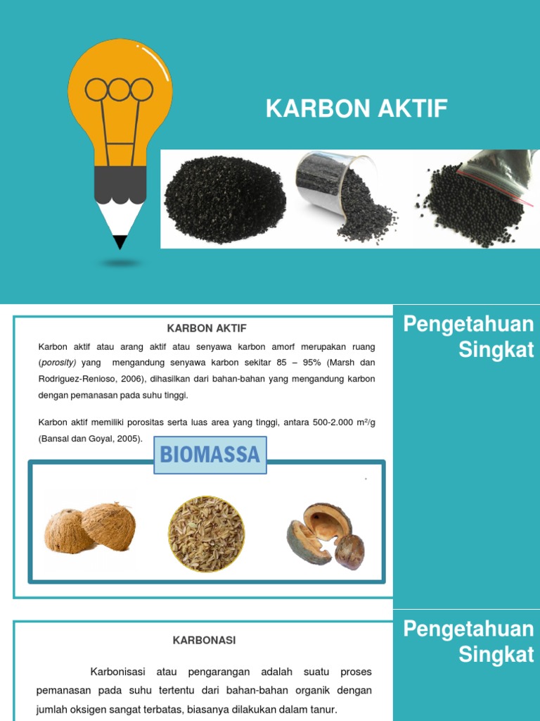 Karbon Aktif | PDF