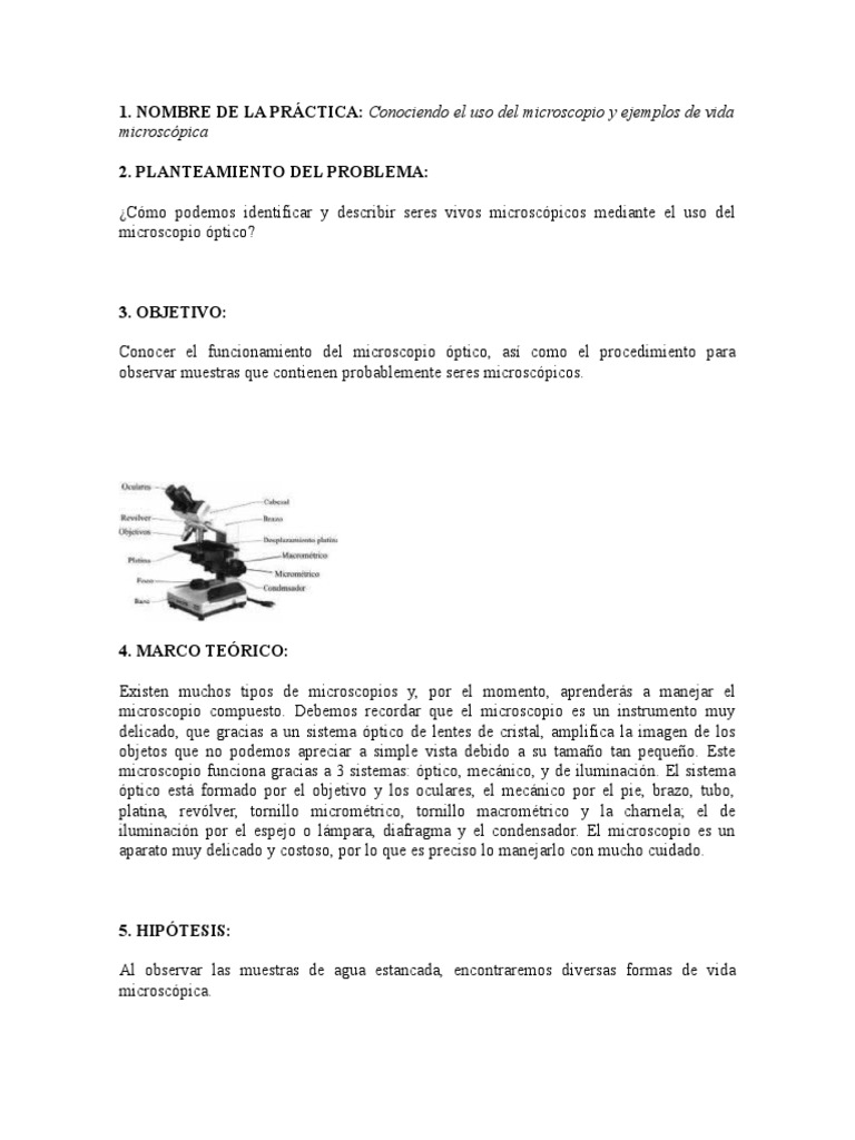 Microscopio Actividades | PDF | Microscopio | Óptica