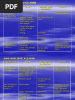 Skema Dermatom Dan Sklerotom | PDF