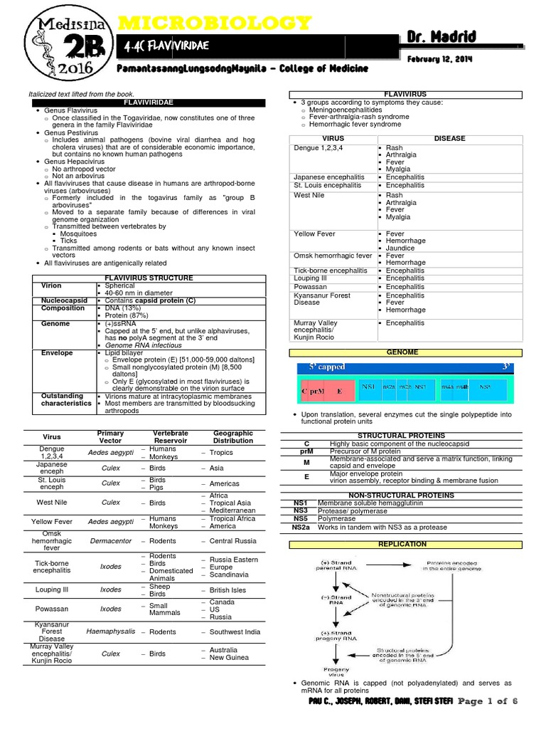 Flaviviridae: Structure, Replication, and Diseases Caused by ...