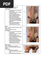 Kelompok 9-Krepitasi Dan Deformitas | PDF