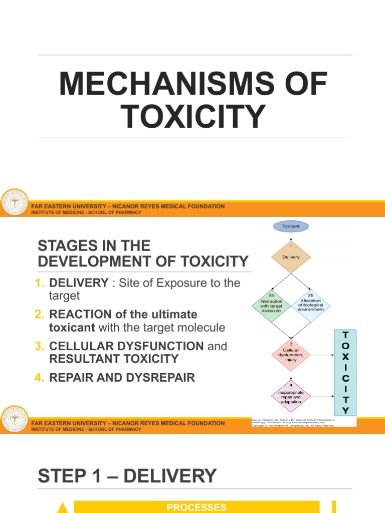 Mechanism of Toxicity | PDF | Drug Metabolism | Enzyme Inhibitor
