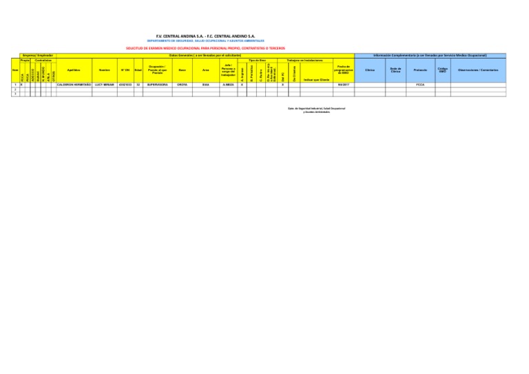 Formato Emo | PDF | Informática y tecnología de la información | Business