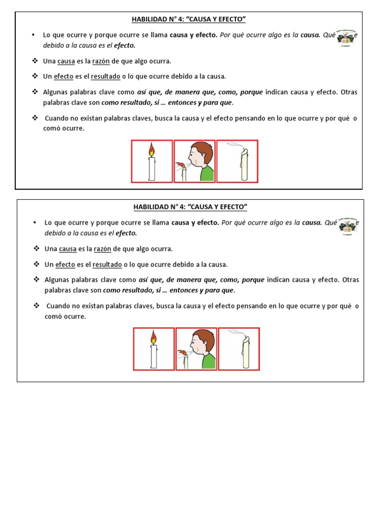 Comprender Causa y Efecto | PDF
