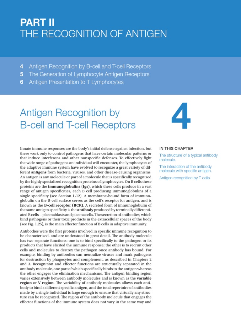 The Recognition of Antigen: Antigen Recognition by B-Cell and T-Cell ...