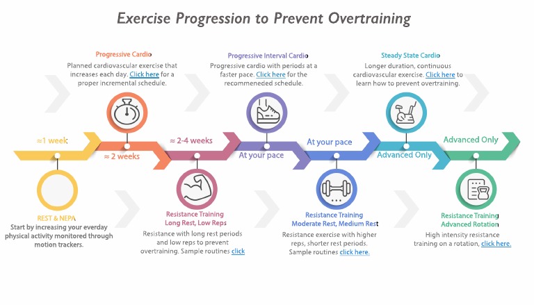 Exercise Timeline Recent | PDF