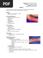 GPC CELULITIS - P | PDF | Staphylococcus Aureus | Especialidades Medicas