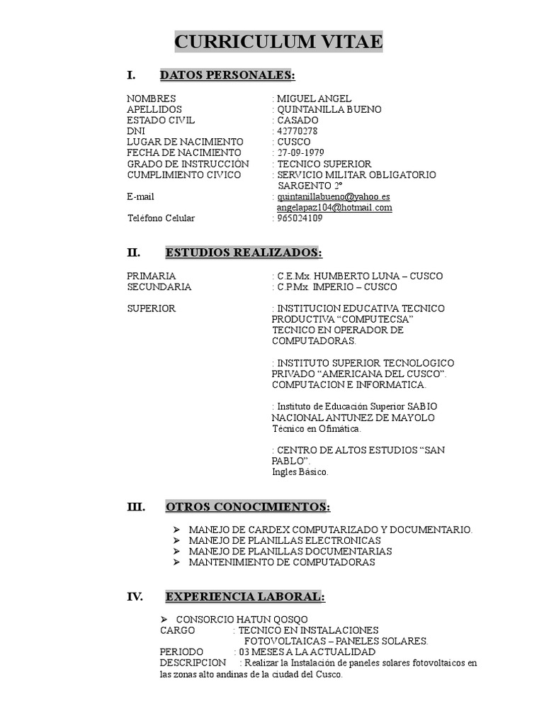 Curriculum Vitae Miguel Angel | PDF | Energía y recursos | Business