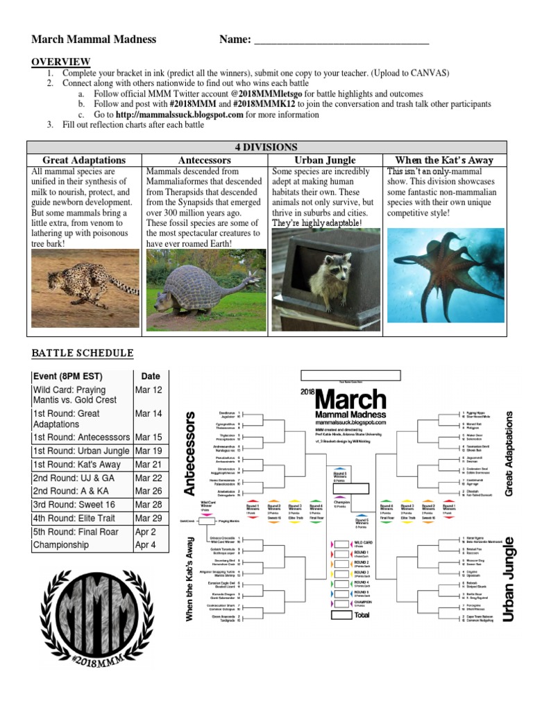 DB 2018 March Mammal Madness | PDF | Adaptation | Mammals