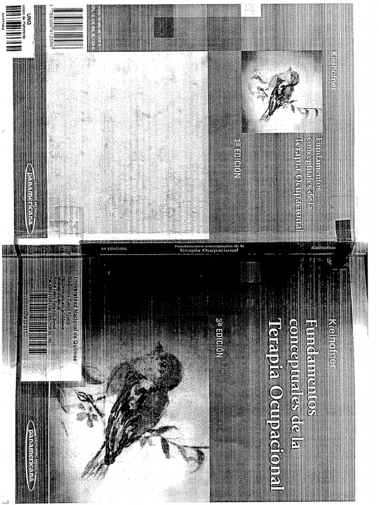 KIELHOFNER - Fundamentos Conceptuales de To, 3º Edición | PDF