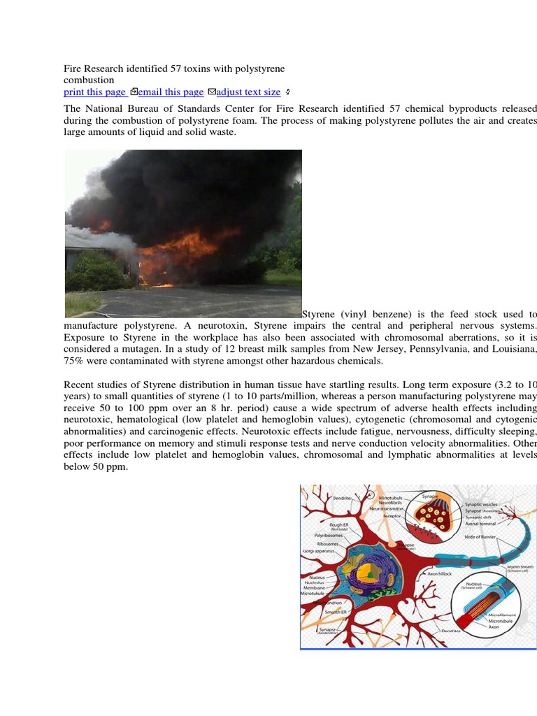 Fire Research Identified 57 Toxins With Polystyrene Combustion | PDF ...