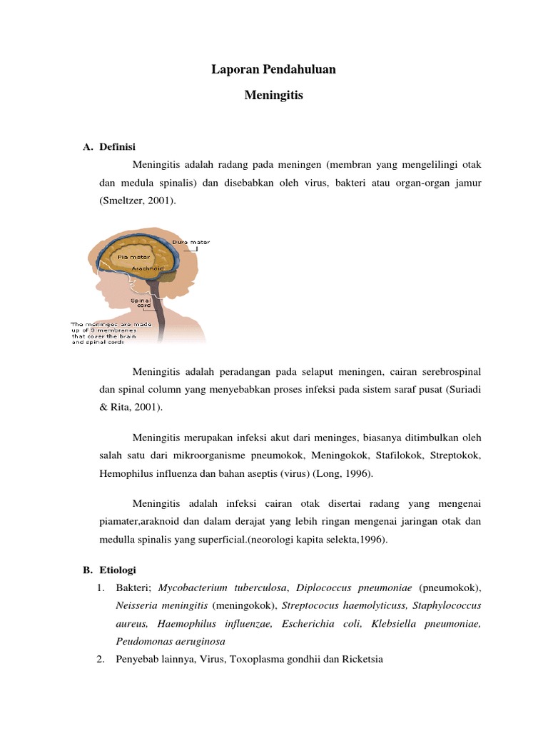 LP Meningitis | PDF
