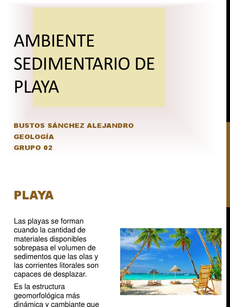 Ambiente Sedimentario de Playa | PDF | playa | Geografía Física