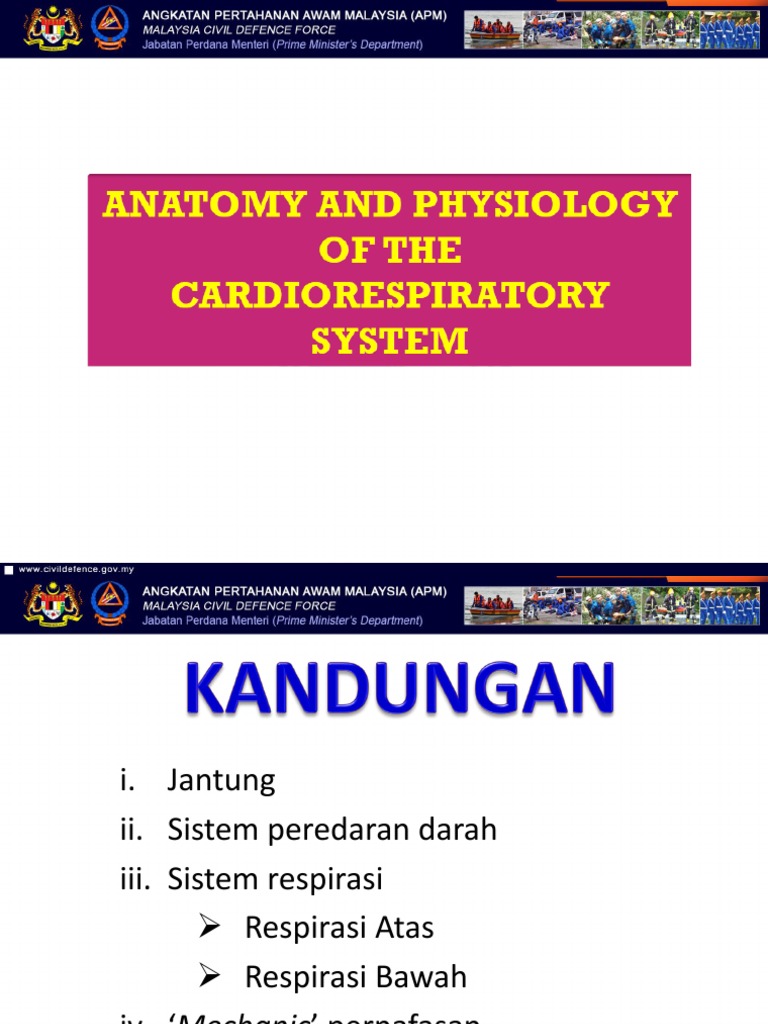 Slide Master Apm Anotomy | PDF