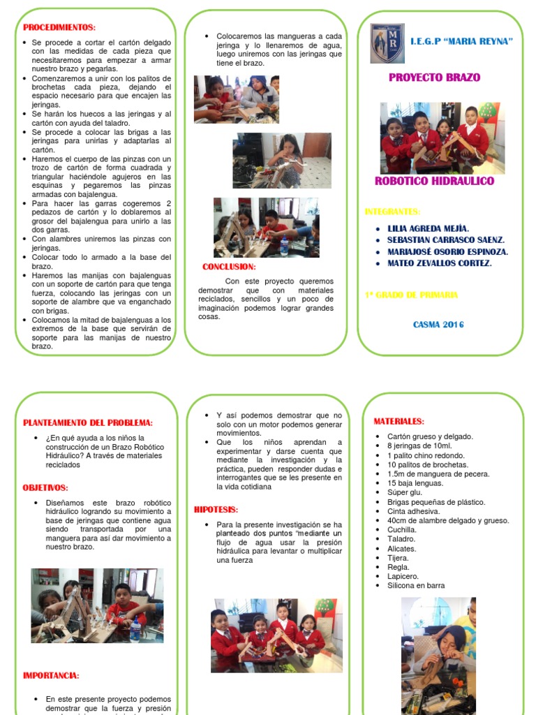 Triptico Fencyt | PDF | Naturaleza