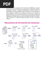 Reacción Con La Fenilhidrazina | PDF | Glucosa | Sacarosa