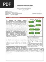 CÓSMIDOS | PDF | Plásmido | Biotecnología