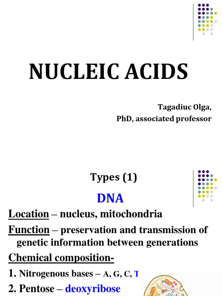 A Comprehensive Overview of Nucleic Acid Structure, Function and the ...