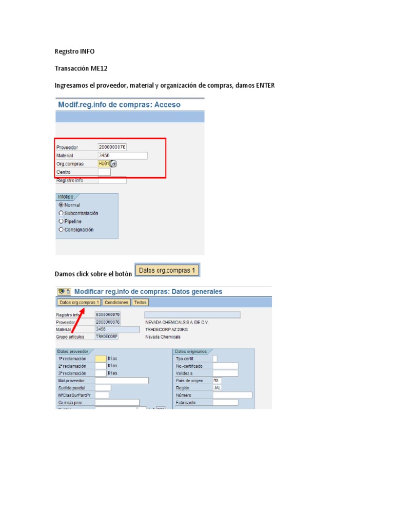 Modificación Masiva en SAP Memassin | PDF