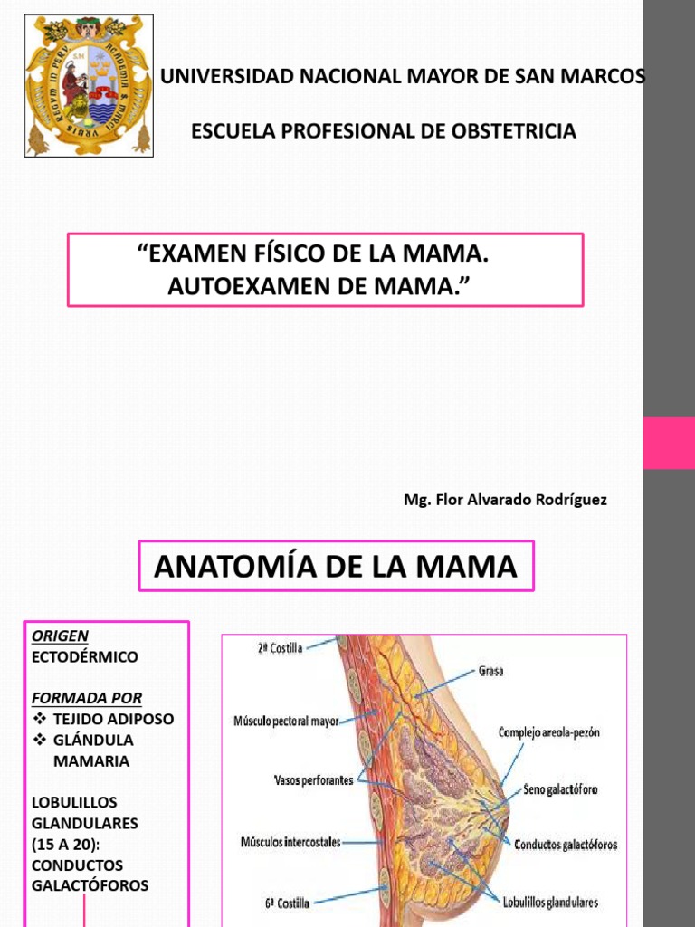 Examen y Autoexamen de Mama | PDF | Pecho | Cáncer de mama