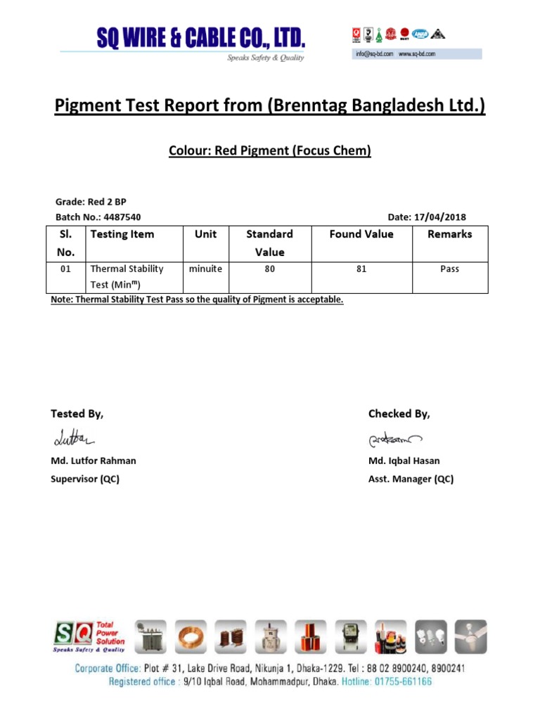 Red Pigment Test Report | PDF