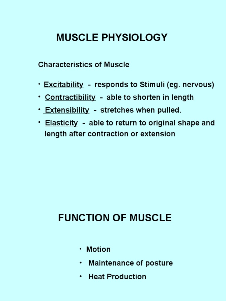 Muscle Physiology: Characteristics of Muscle Excitability - Responds To ...