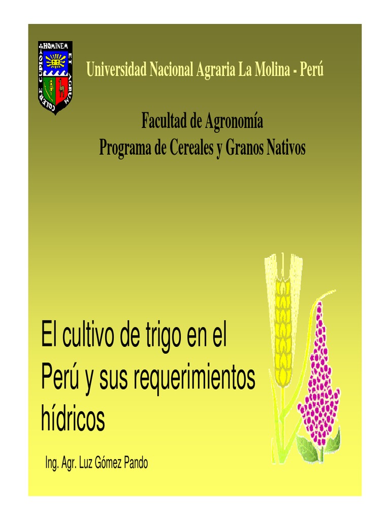 El cultivo de trigo en el Perú.pdf | PDF | Trigo | Clima