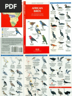 Tree Identification Cards | PDF | Flora | Trees