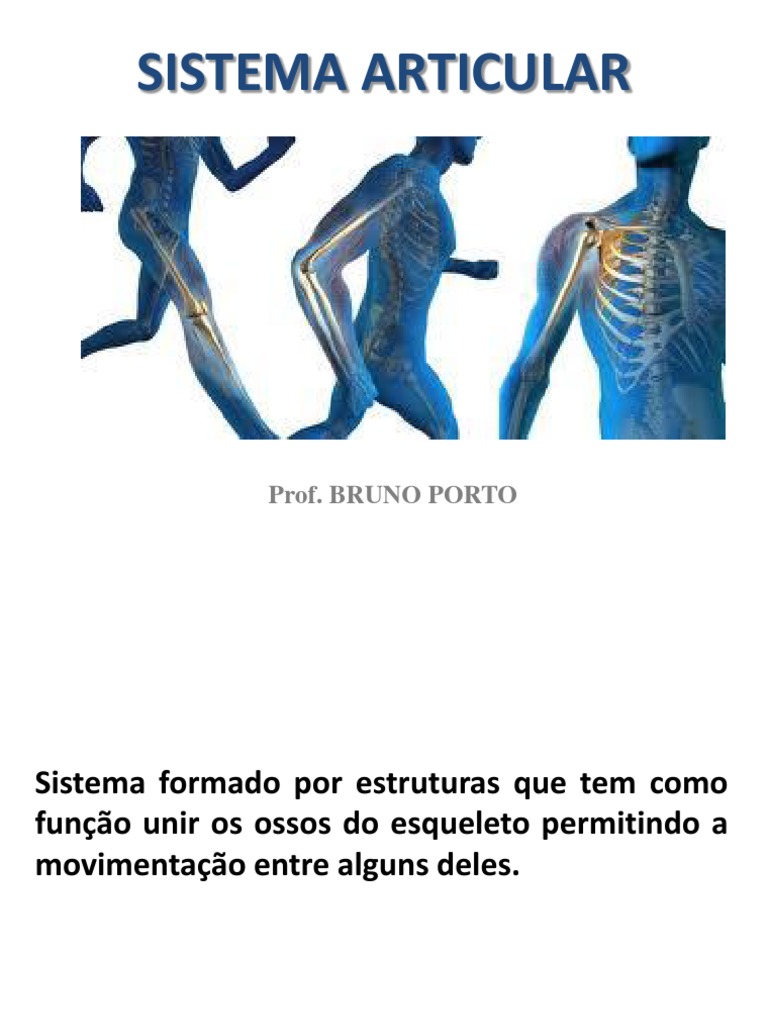 Aula 3 Sistema Articular | Cartilagem | Esqueleto