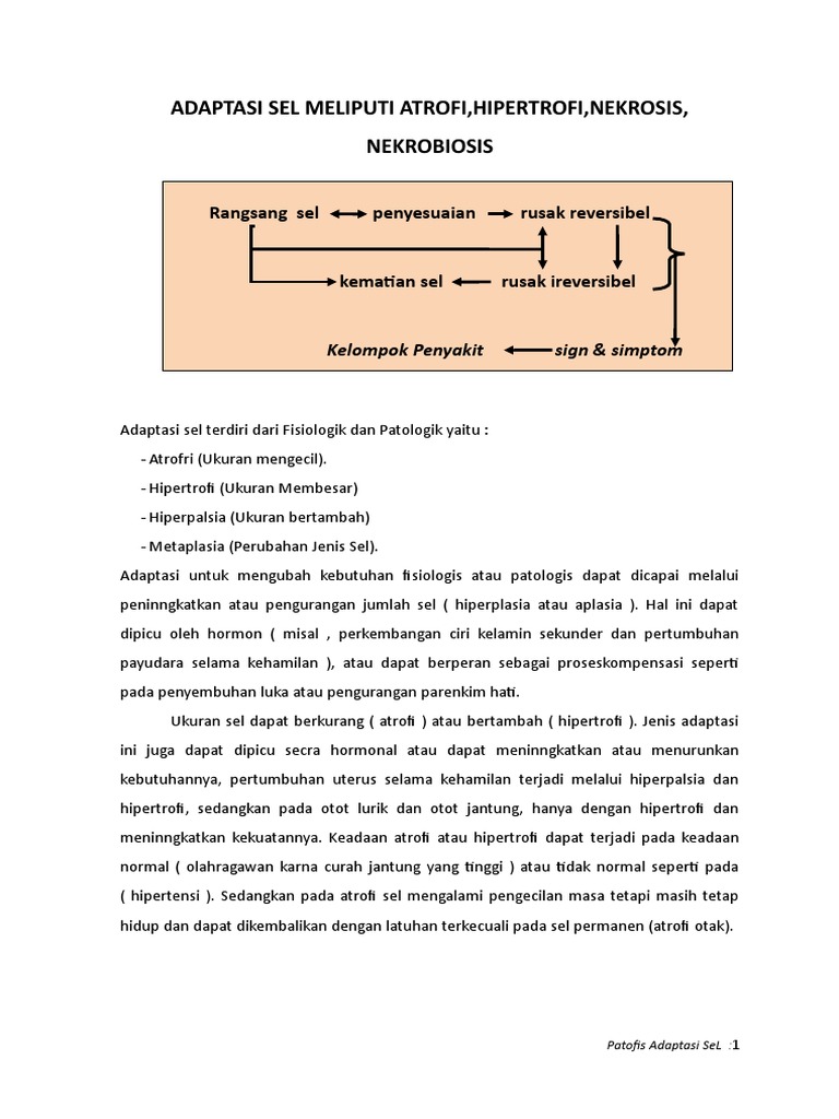 Adaptasi Sel Meliputi Atrofi | PDF