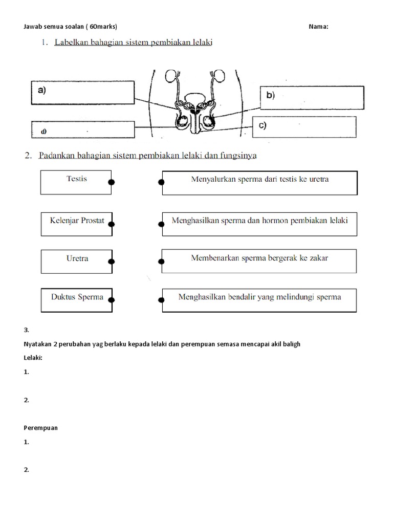 Sains Form 1 Reproduction Exam | PDF