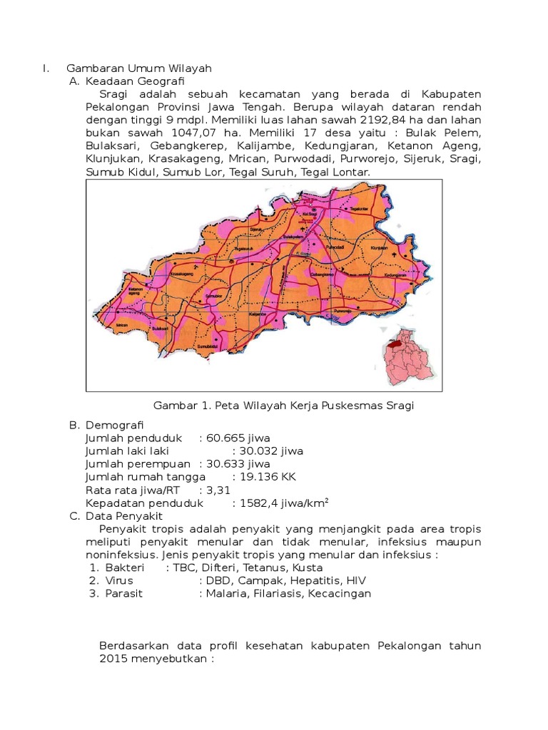Gambaran Umum Wilayah | PDF