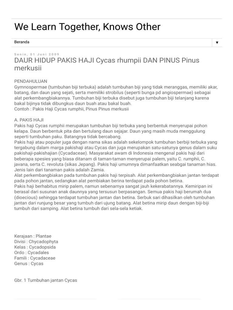 Daur Hidup Pakis Haji | PDF