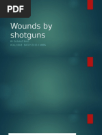 Entrance Wounds | PDF